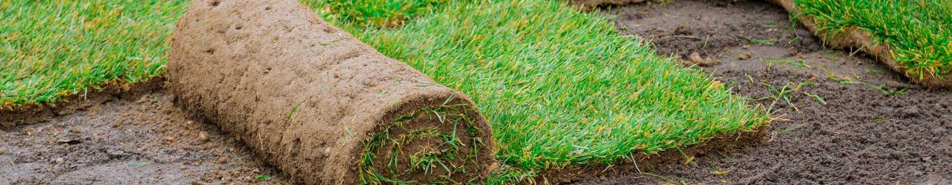 Kentucky Bluegrass Sod - New England Pro Greens and Turf